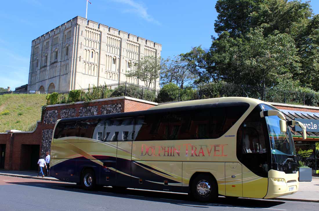 Services - Dolphin Travel